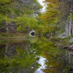 Austin Outdoors | Austin, TX Hotels, Events, Attractions, Things To Do ...