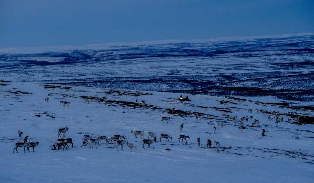 The great journey across the Finnmarksvidda plateau – Visit Norway
