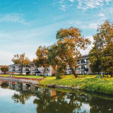 Visit Oakland | Things to Do, Hotels, Meetings & More