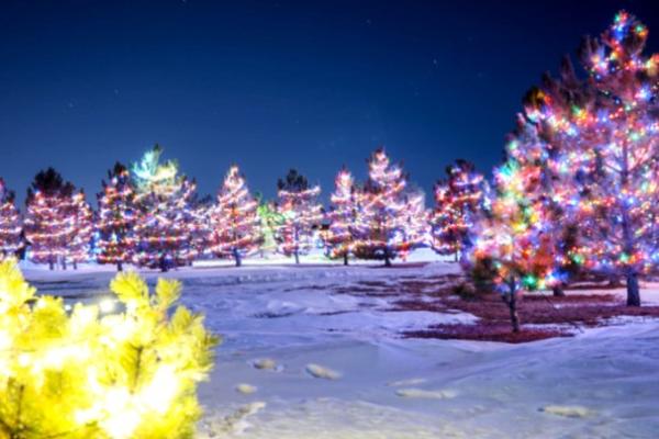 Visit Cheyenne, Wyoming