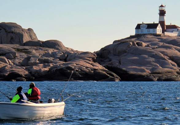 Fjord- och havsfiske i Norge | Fiska året runt