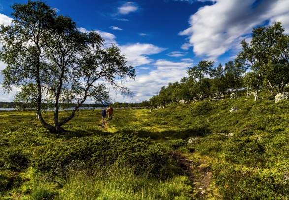 Semesterstugor | Hyr stuga i Norge