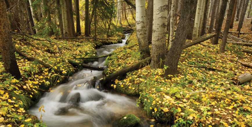 Autumn in Estes Park | Colorado's Best Fall Getaways