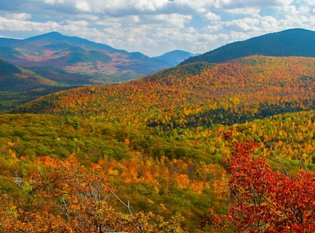 Fall Foliage in New York | Autumn Leaves, Scenic Drives