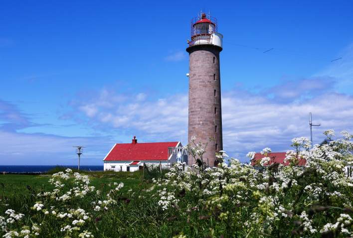 Leuchtturm Lista Fyr | Naturerlebnisse und Eldorado für Vogelbeobachter