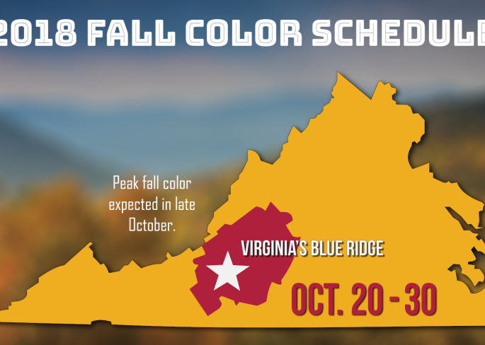 Roanoke Outdoor Adventures | Virginia's Blue Ridge Mountains