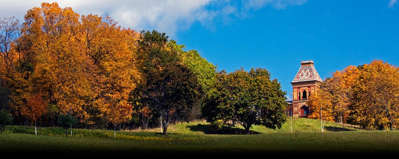 New York Travel Tools | Guides, Transportation, Planners