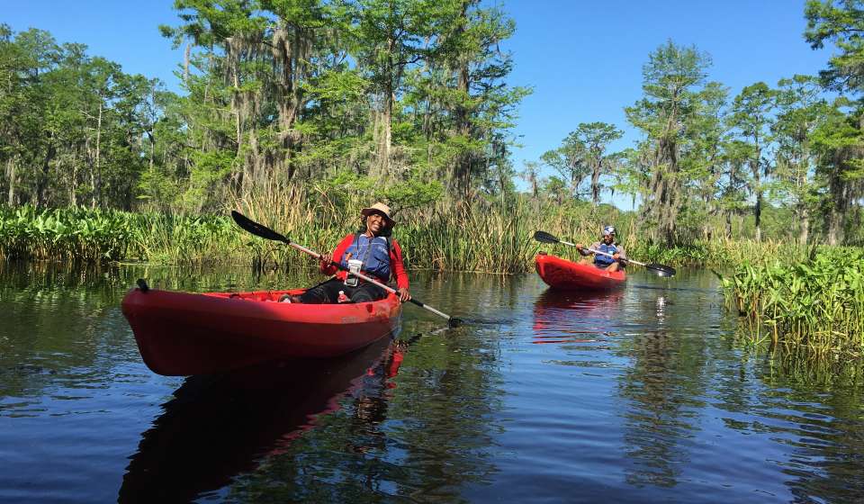 Swamp Tours in New Orleans – New Orleans, LA