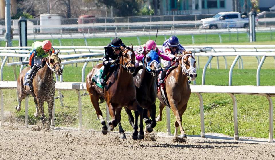 Esplanade Avenue | New Orleans Streets to Visit