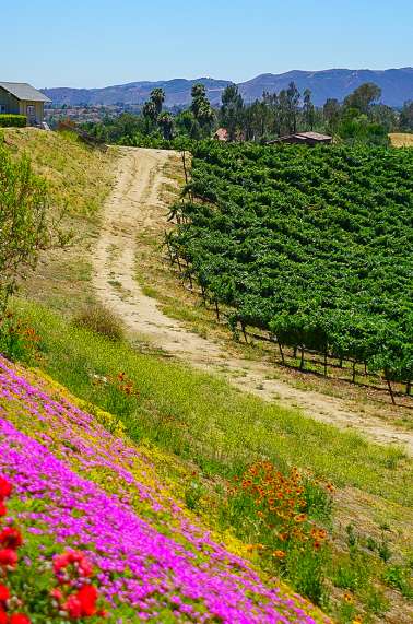 Temecula Valley, CA Visitors Guide To Hotels, Wineries, & Things To Do