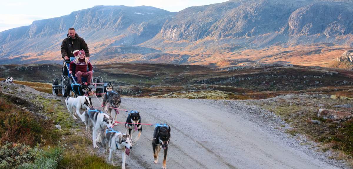 11 fun tips for family holidays in Norway | Activities for young explorers