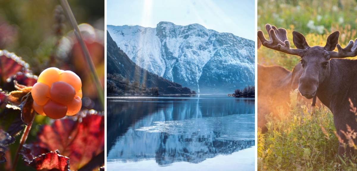 Seasons and climate in Norway | Weather and temperatures