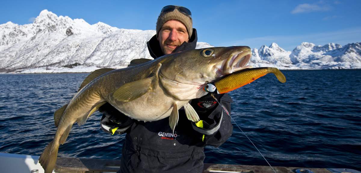 Vinter i Norge | Vejr og temperaturer