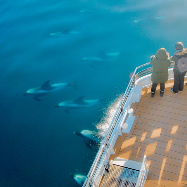 Svalbard, Norge – Arktisk vildmark, unikt djurliv