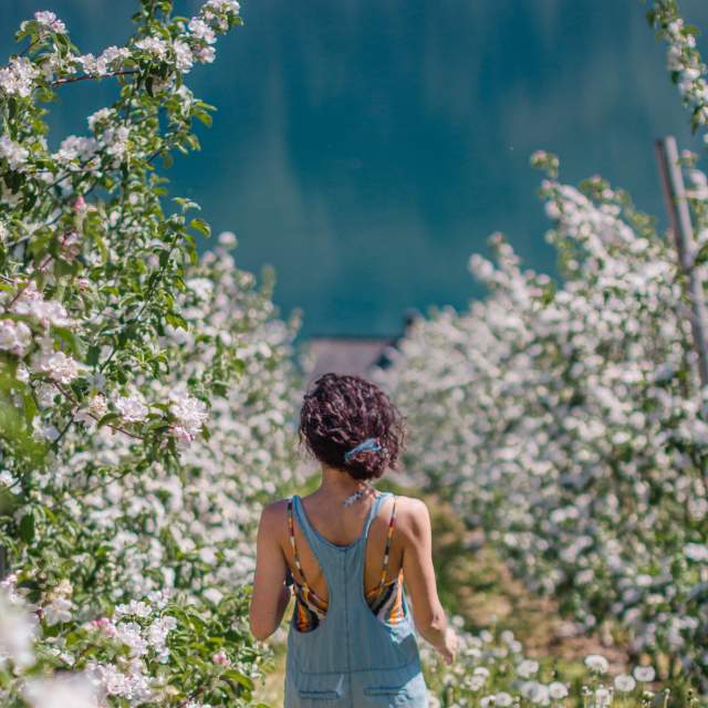 Marvelous May in Norway | Things to do