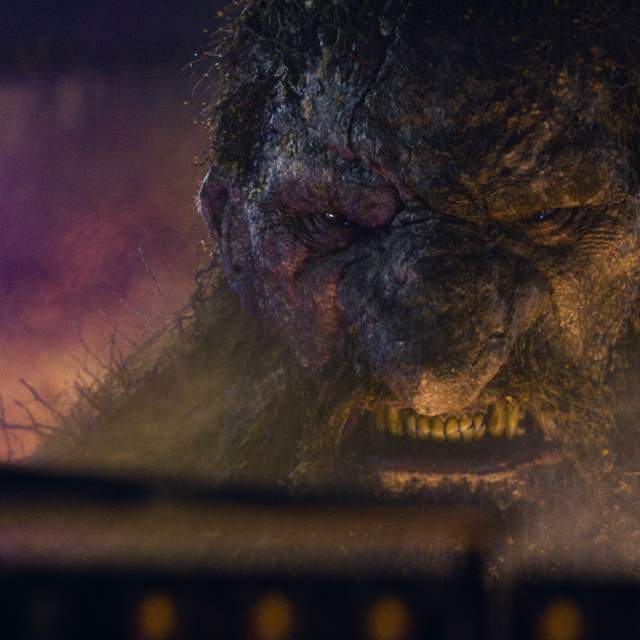 turn down for what drop troll