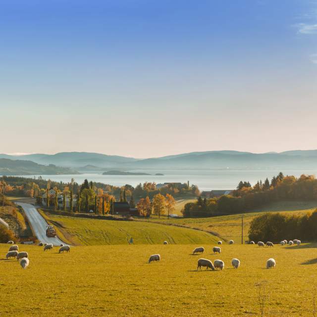 Stunning September in Norway | 12 things to do