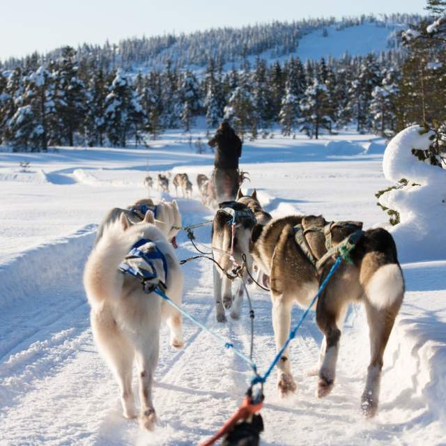 Our love for snow in Norway | Winter activities