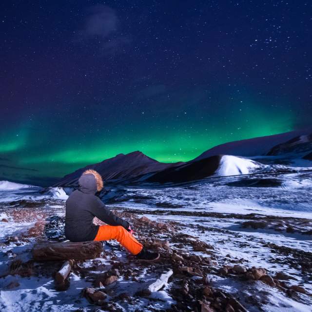 Svalbard, Norge – Arktisk vildmark, unikt djurliv