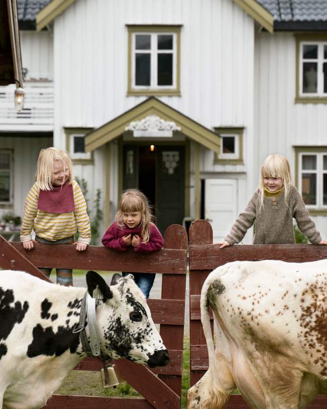 Sour cream porridge from Valdres | Recipe