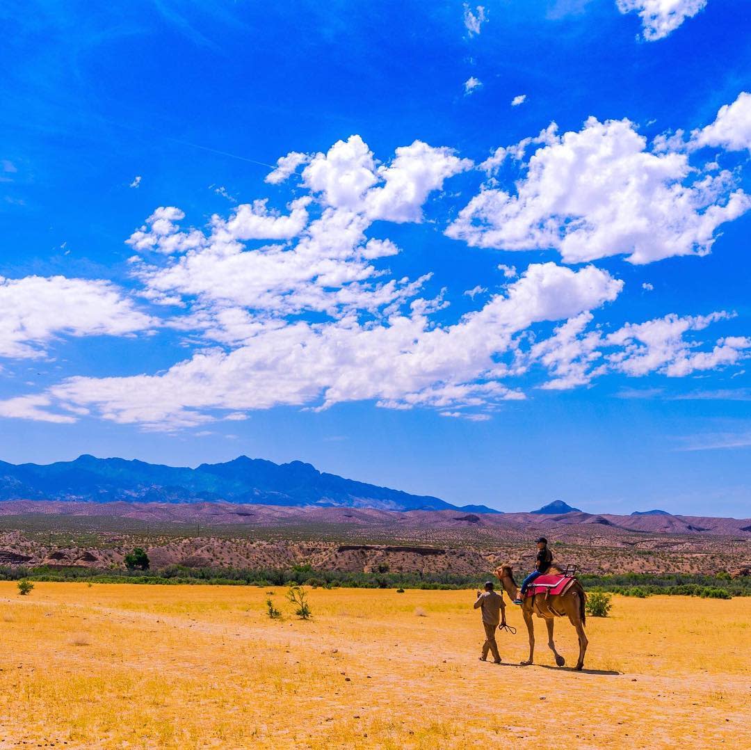 Family Activities in Mesquite, Nevada | Complete Guide