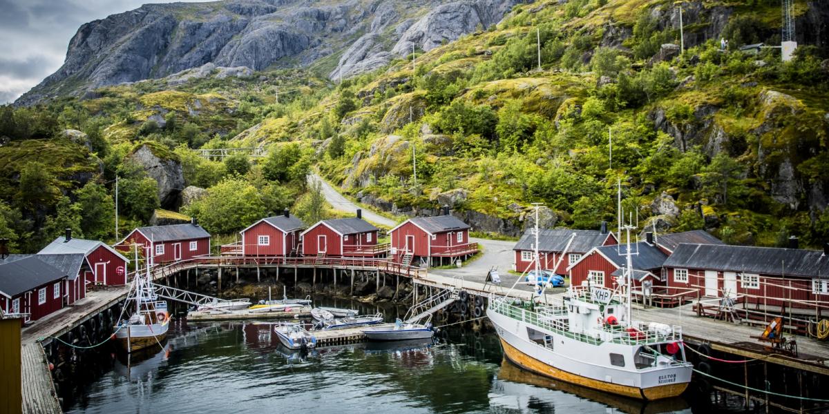 Fisken som formade Lofoten | Officiell reseguide | Visitnorway.se