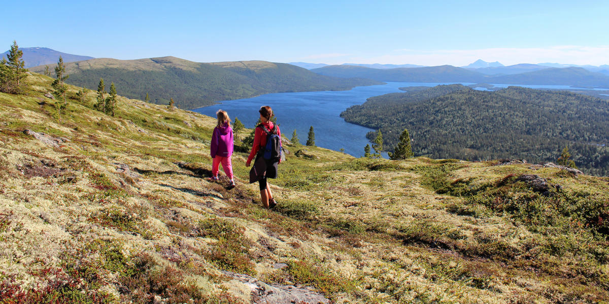 Savalen - Visit Norway
