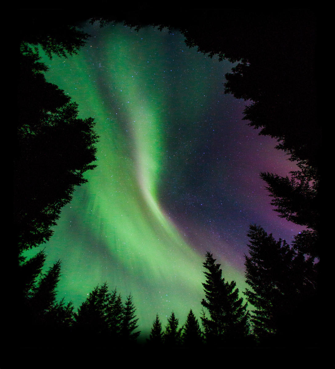 Noctourism | Experience the dark sky, the stars and the universe