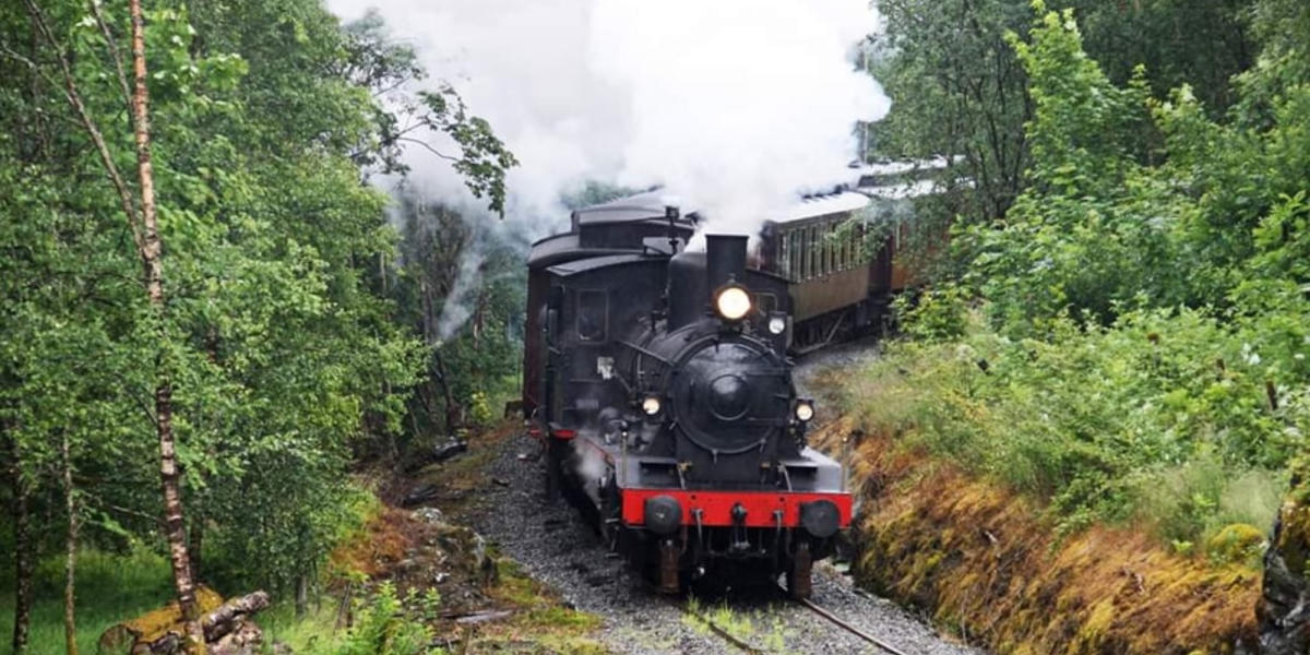 Railway fun | Railway museums, draisines and steam trains