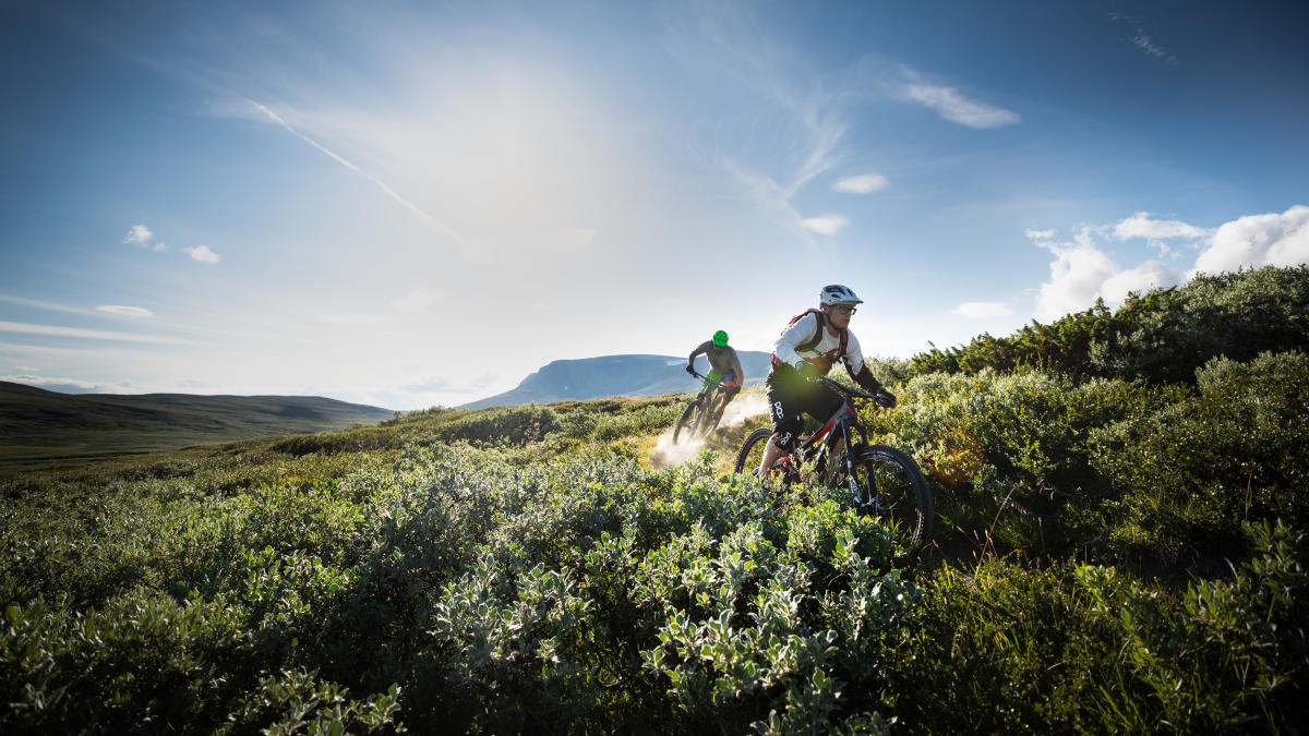 Geilo im Sommer | Bike Park, Hardangervidda, Rafting