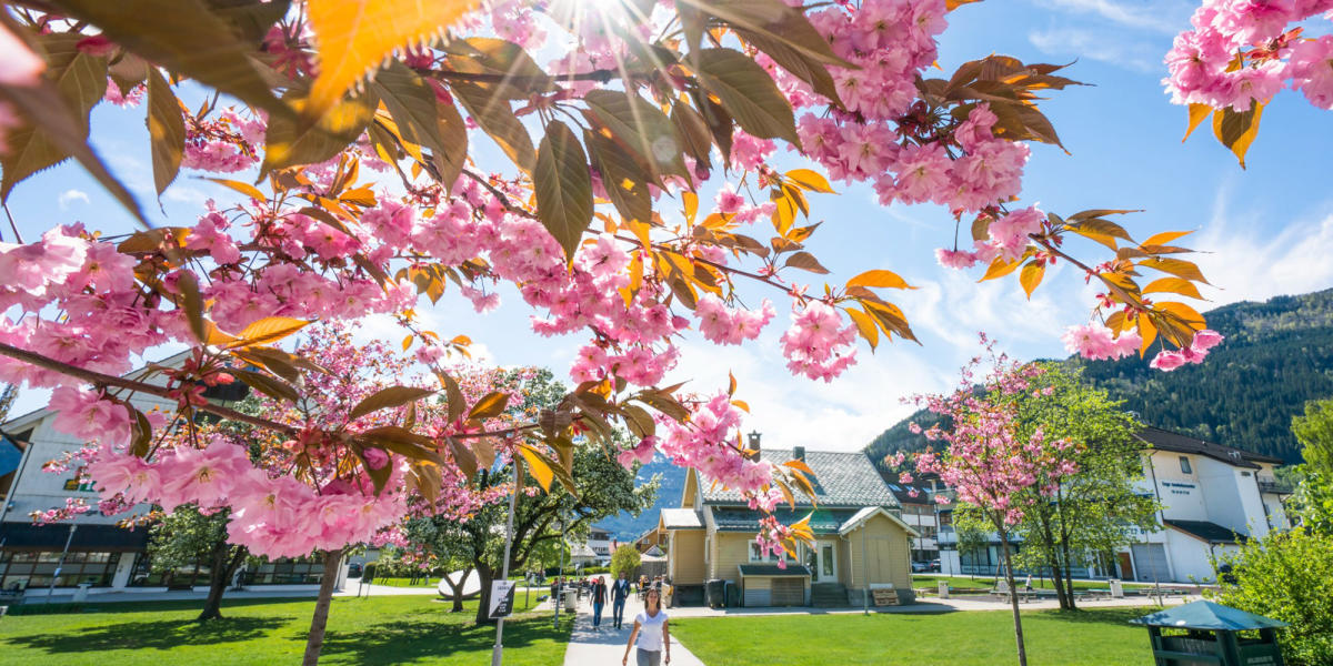 Spring in Norway | Norway Expert e-learning