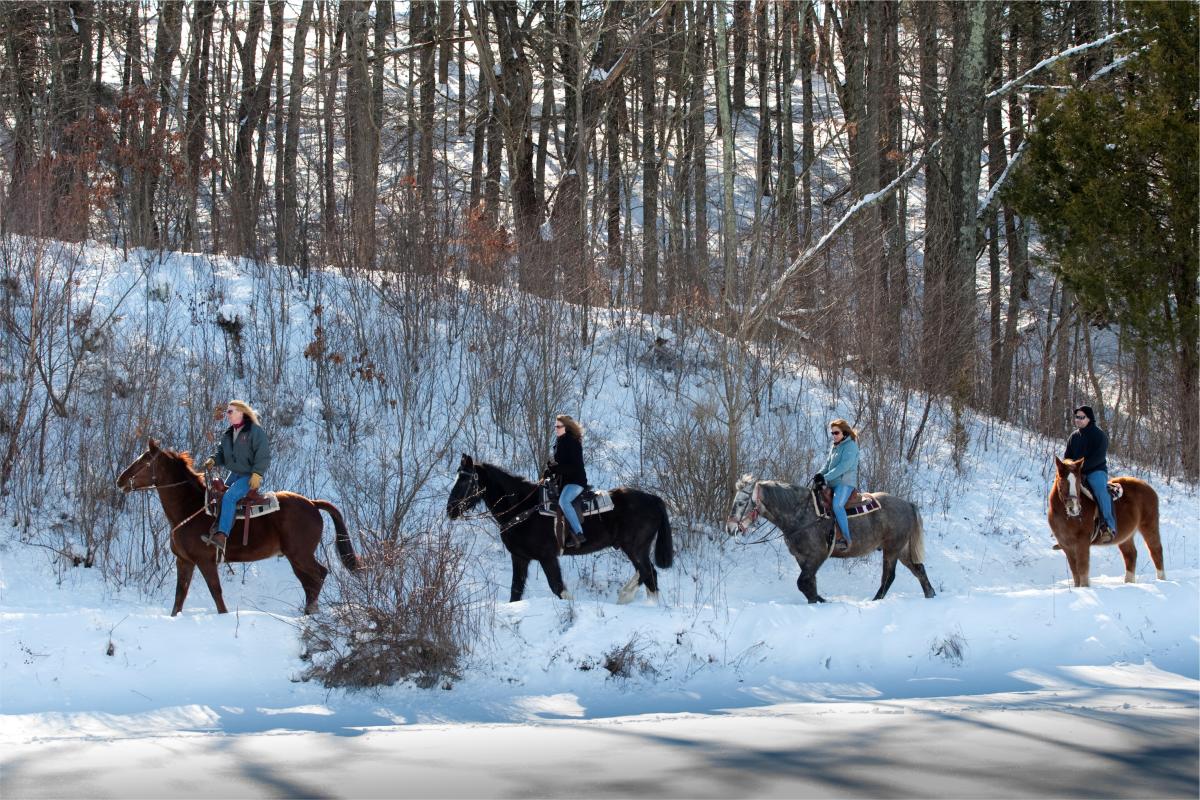 Horseback Riding in the Pocono Mountains | Stables & Trails