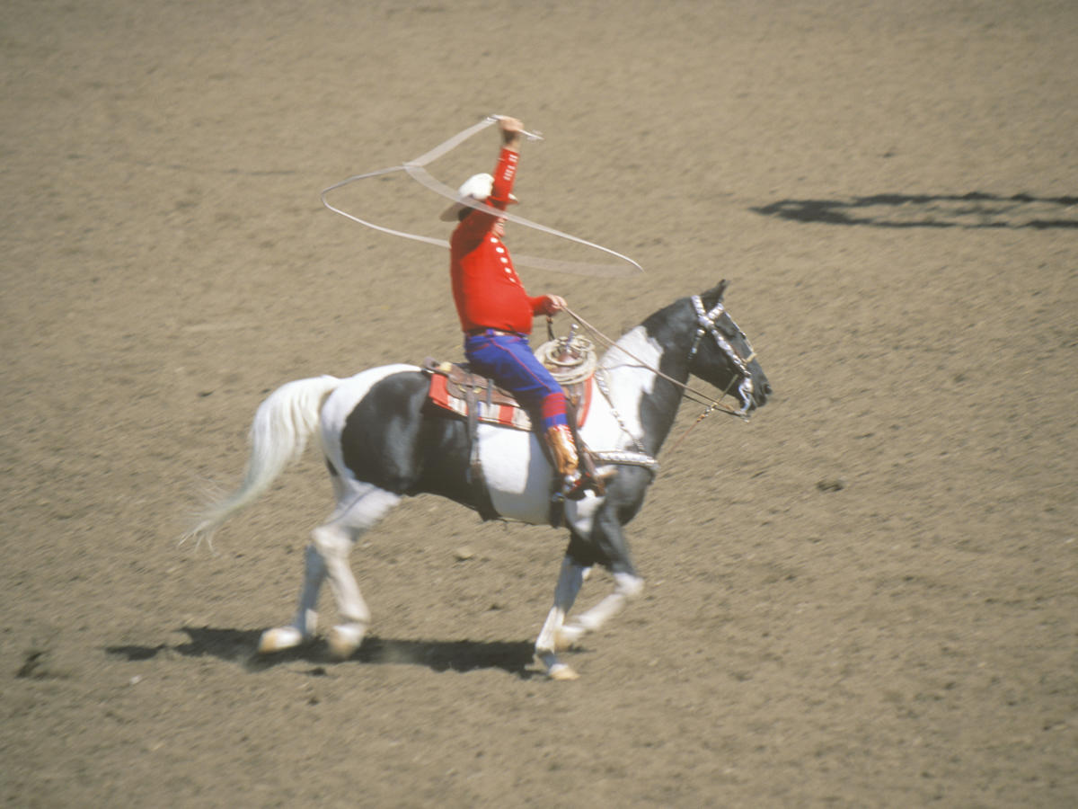 INFR Indian National Finals Rodeo | Las Vegas Shows & Events