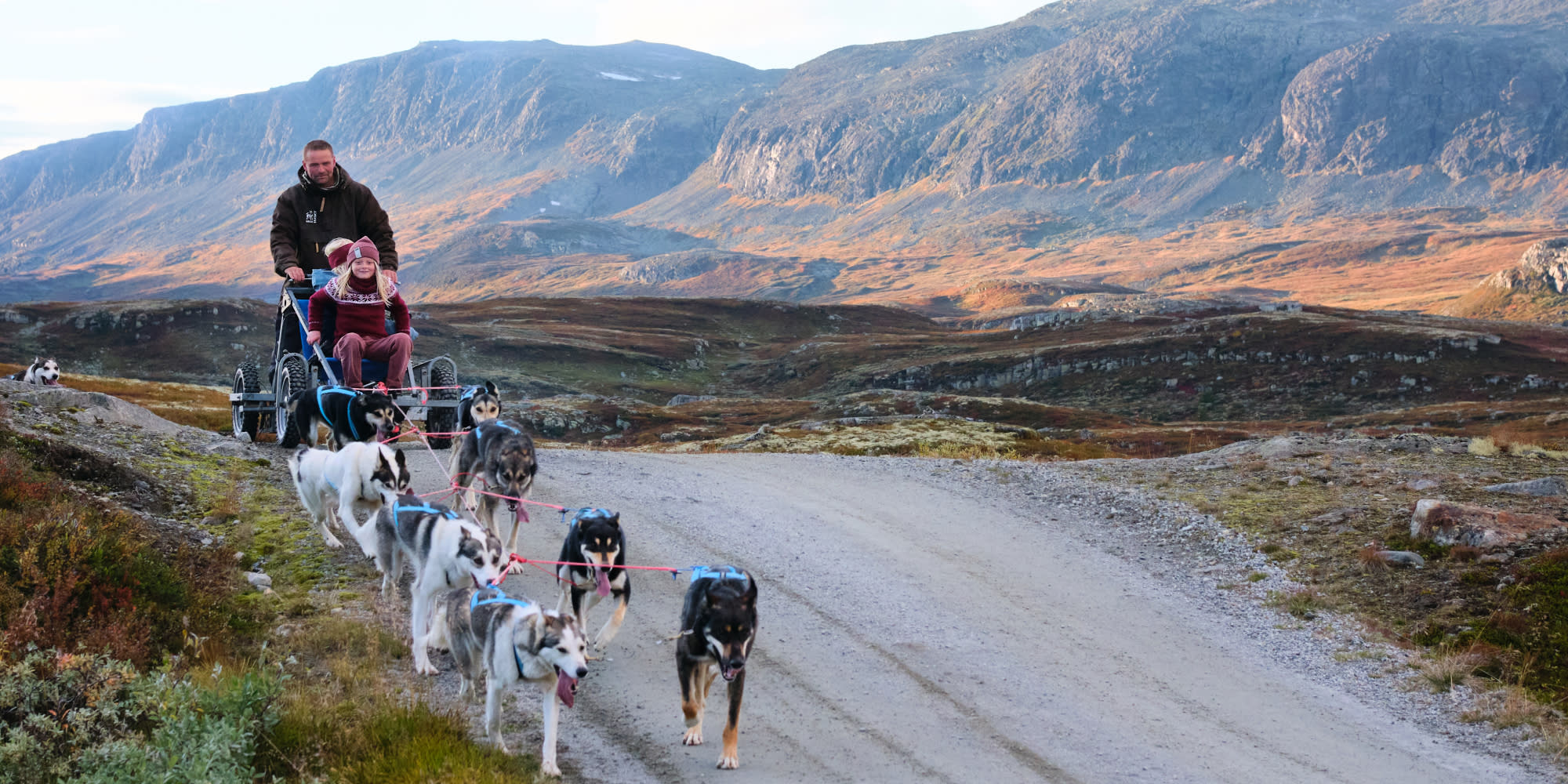 Safari all’alce in Norvegia