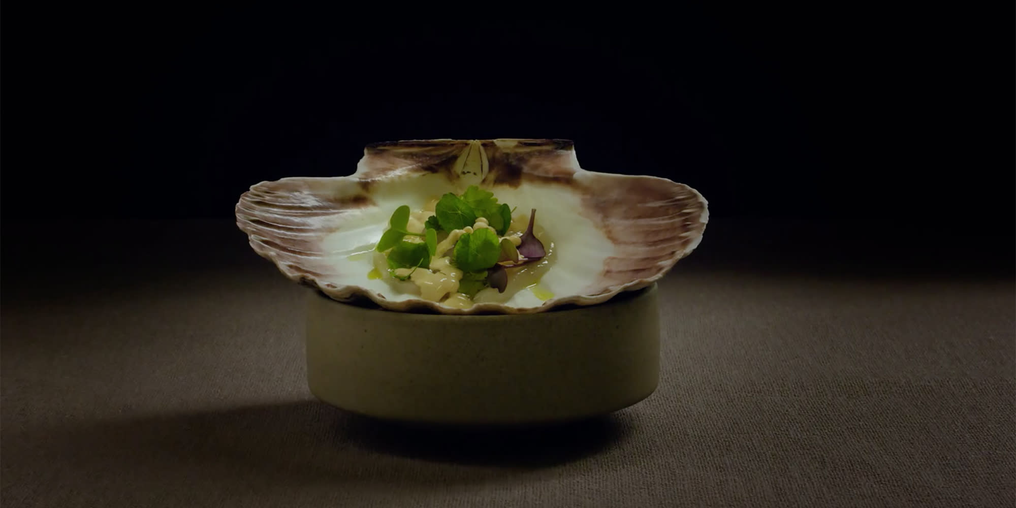 Trondheim by foot | Our top walks